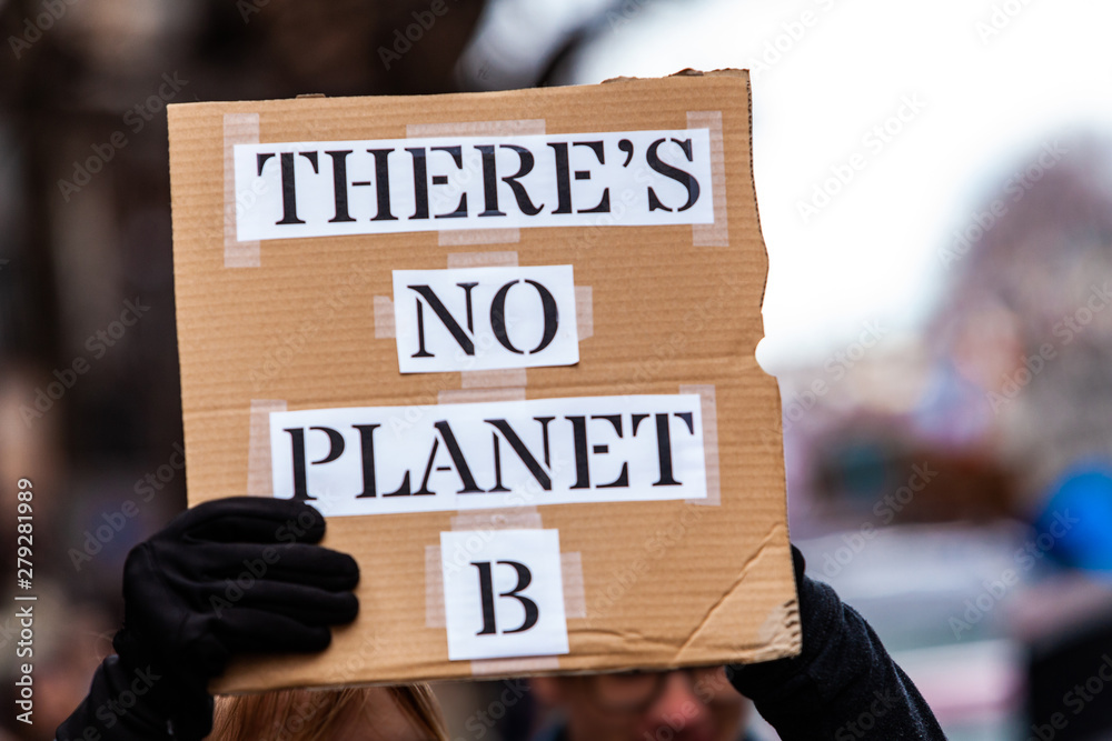 Ecological activist holds cardboard sign. A closeup view of a homemade ...