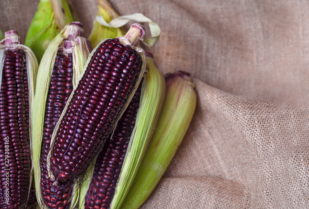 Fresh red corn, Siam ruby, purple corn of Thailand is a type of sweet ...