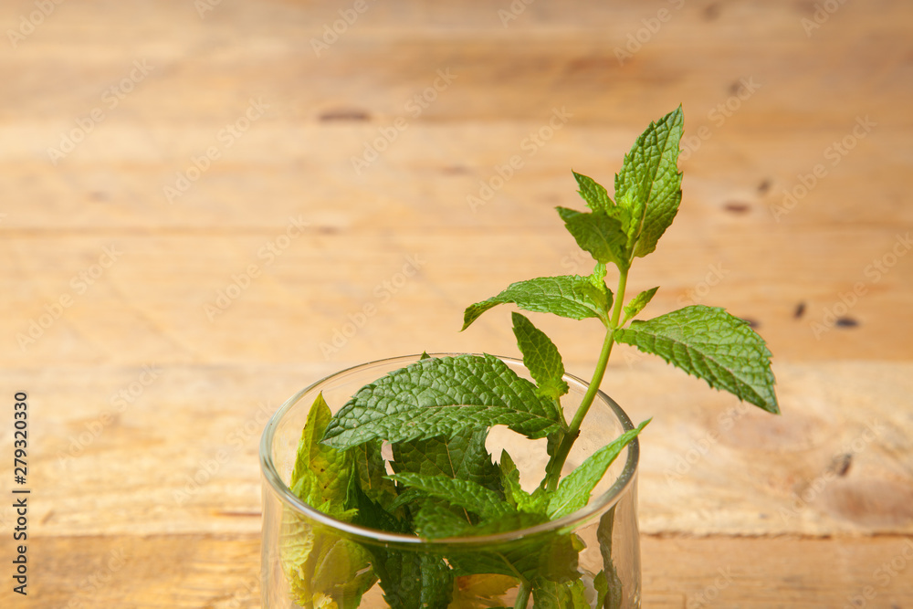 Hojas de menta; la menta es una hierba cuyas hojas tienen mucho aroma y ...