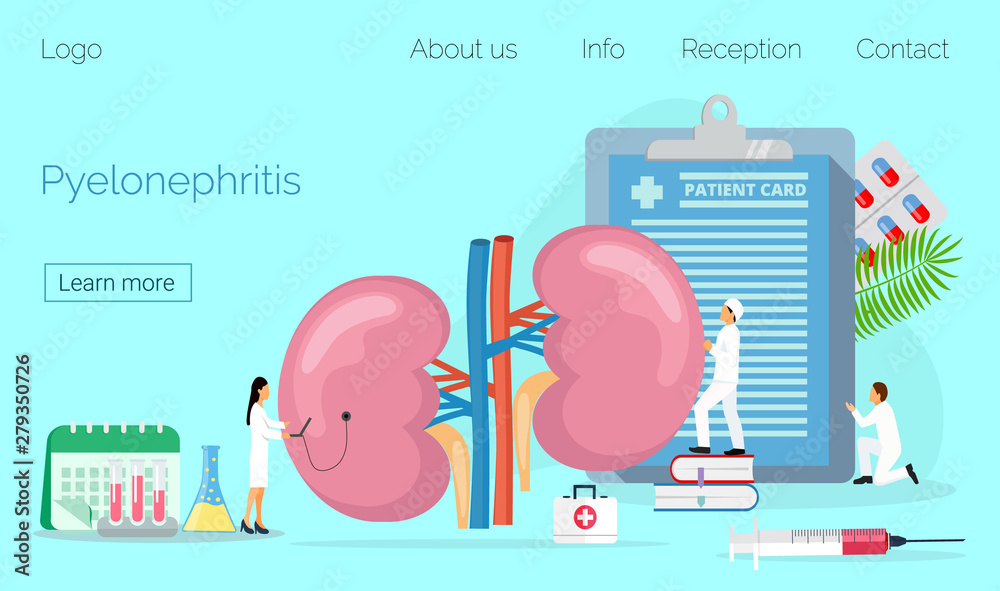 Concept of pyelonephritis, diseases and kidney stones, cystitis ...