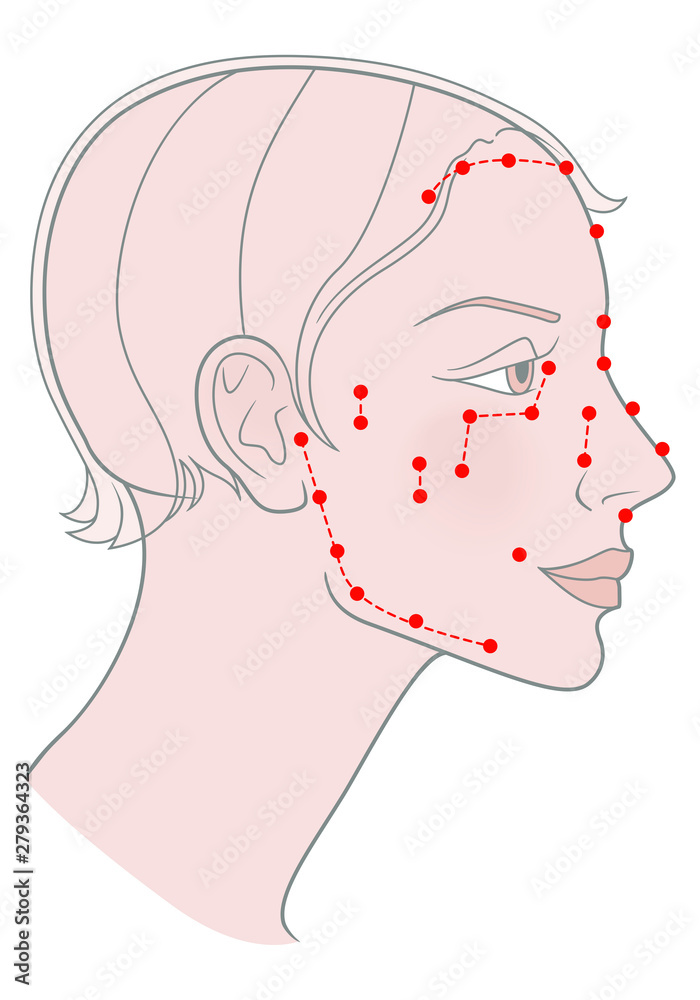 Active acupuncture points on the profile template Girl with a short ...