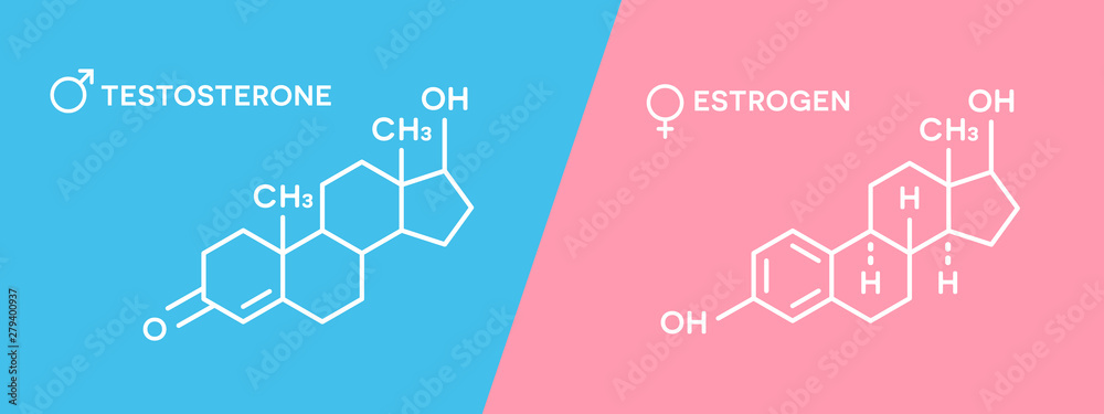 Estrogen And Testosterone Hormones Symbol Sex Hormones Molecular