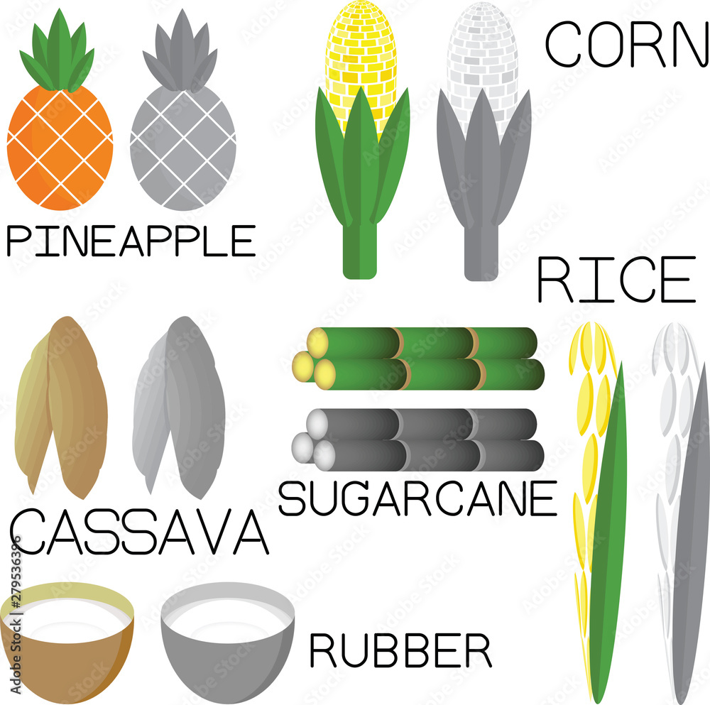 crops Stock Vector | Adobe Stock