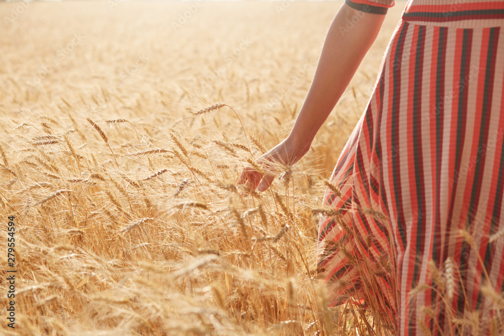 Unknown woman wearing stripped summer dress touching stalks of wheat ...
