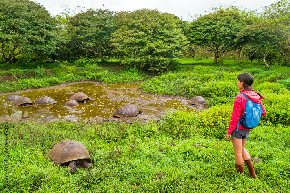 Galapagos Giant Tortoise on Santa Cruz Island in Galapagos Islands ...