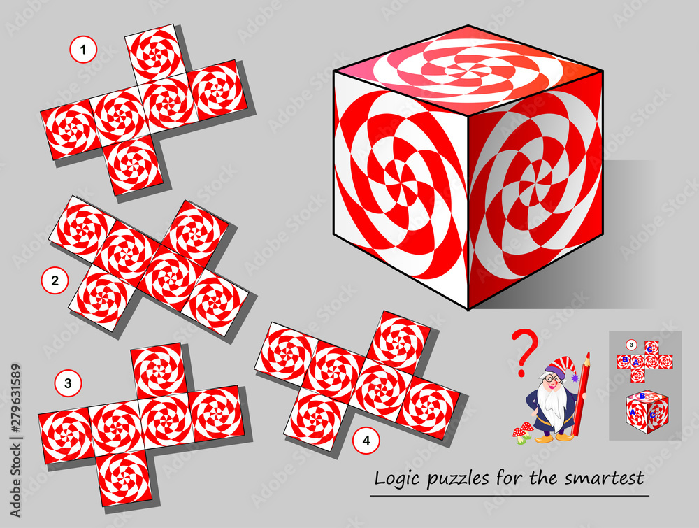 Logic puzzle game for smartest. Need to find the template which matches ...