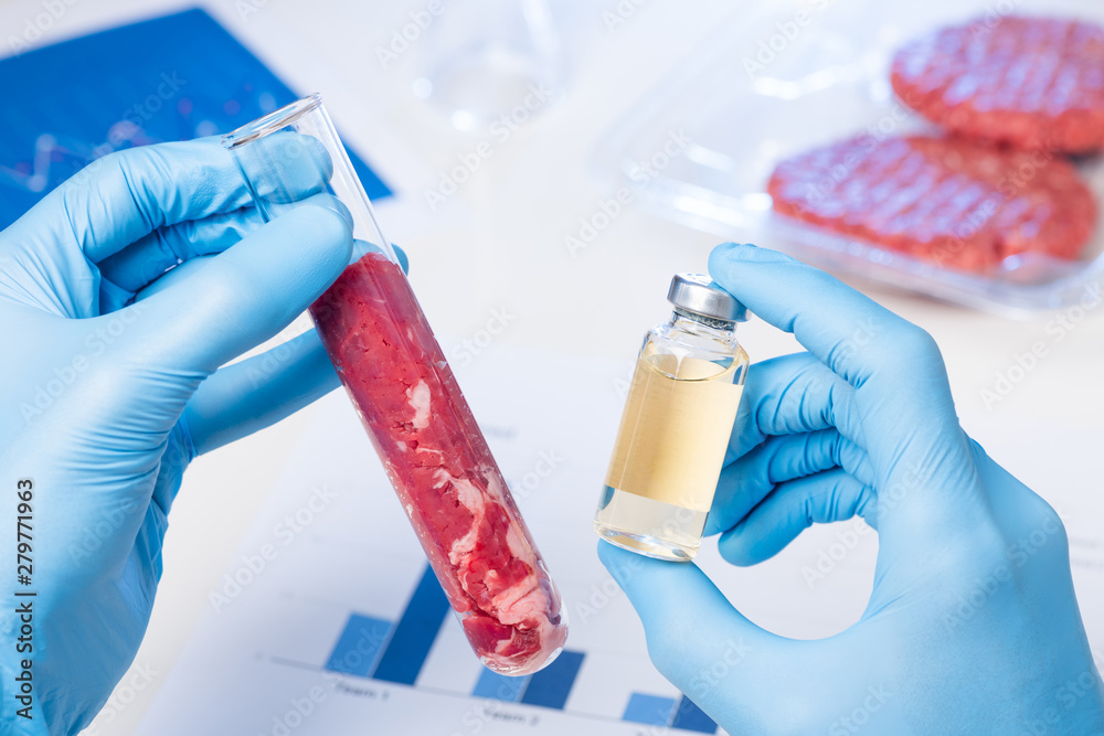 Meat in test tube and liquid chemical in bottle. Livestock ilness ...