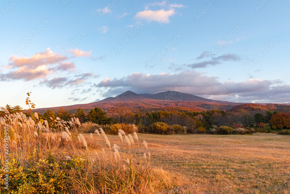 Autumn foliage scenery in Kayano-Kogen plateau, Aomori, Japan. Hakkoda ...
