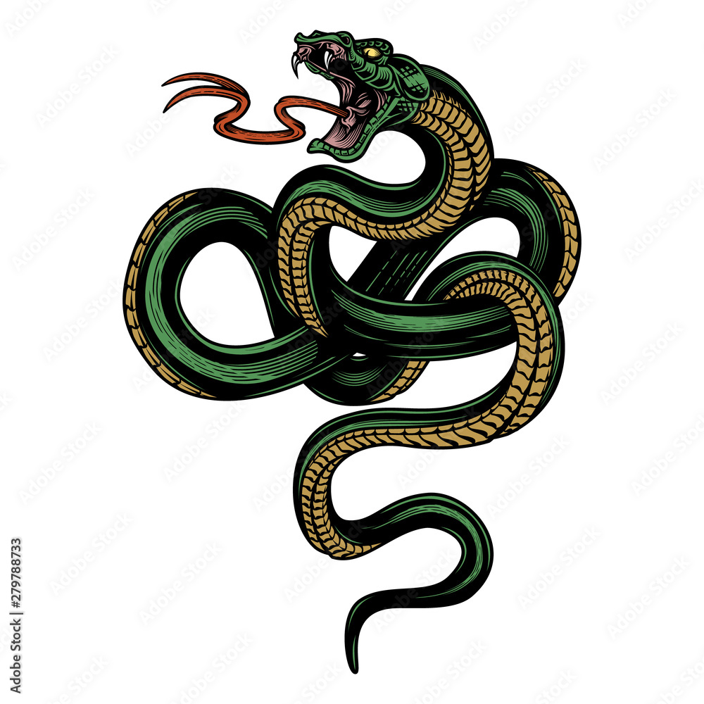 Snake. Colorful hand drawn vector illustration of snake in engraving ...
