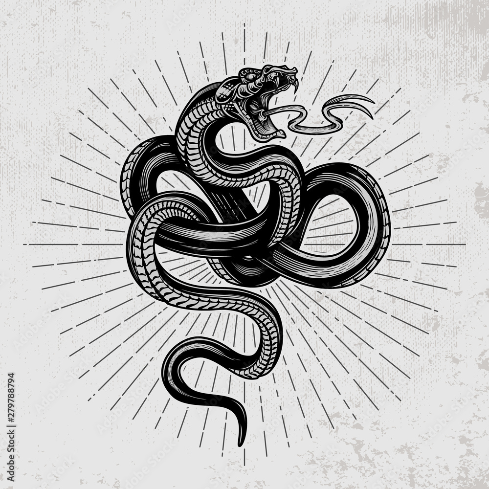 Snake poster. Hand drawn vector illustration in engraving technique ...