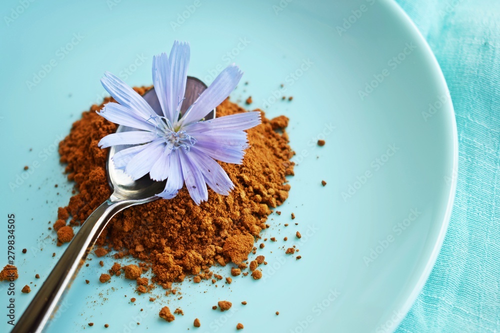 Ground chicory and blue chicory flowers on blue background.Alternative ...