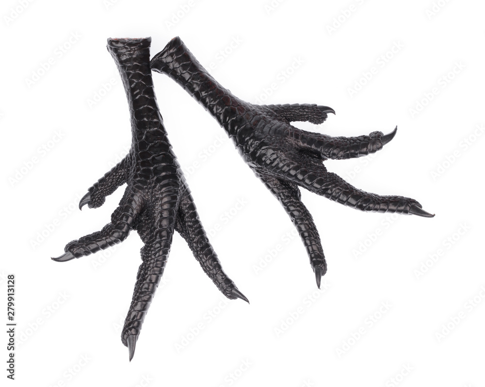 Chicken Foot Illustration