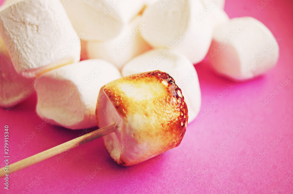 Roasted marshmallow on stick before white ones at pink background ...