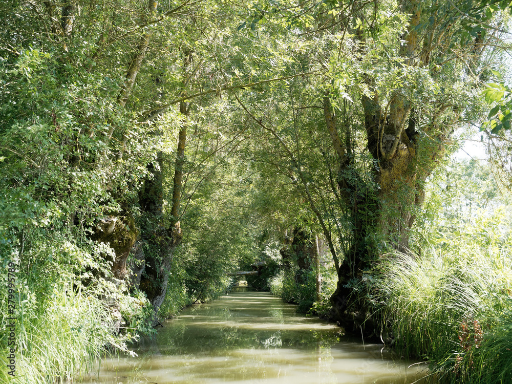 Marais poitevin dit la Venise verte en Aquitaine et Vendée Stock Photo ...