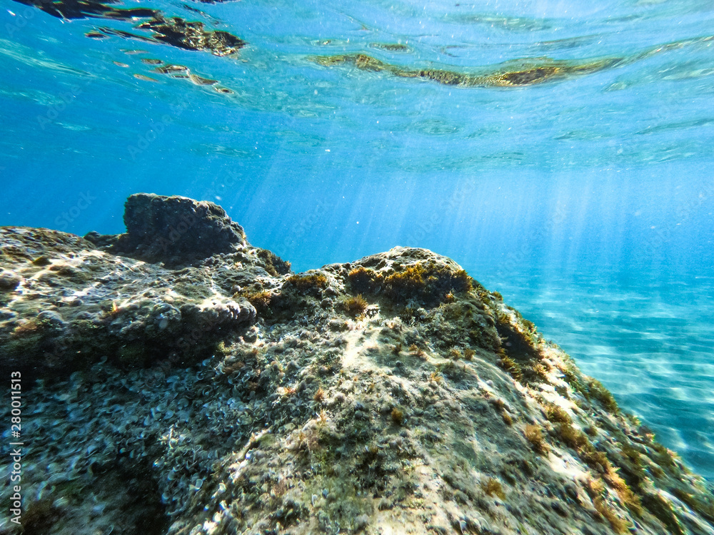 Underwater view of the rocks, sand and stones. The sandy and rocky ...