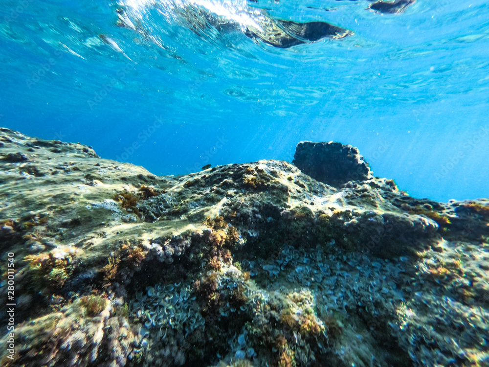 Underwater view of the rocks, sand and stones. The sandy and rocky ...