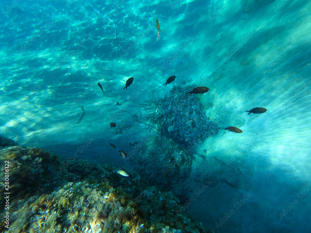 Underwater view of the rocks, sand and stones. The sandy and rocky ...