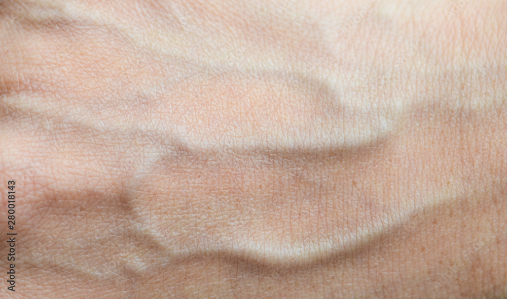 the blood veins of human Stock Photo | Adobe Stock