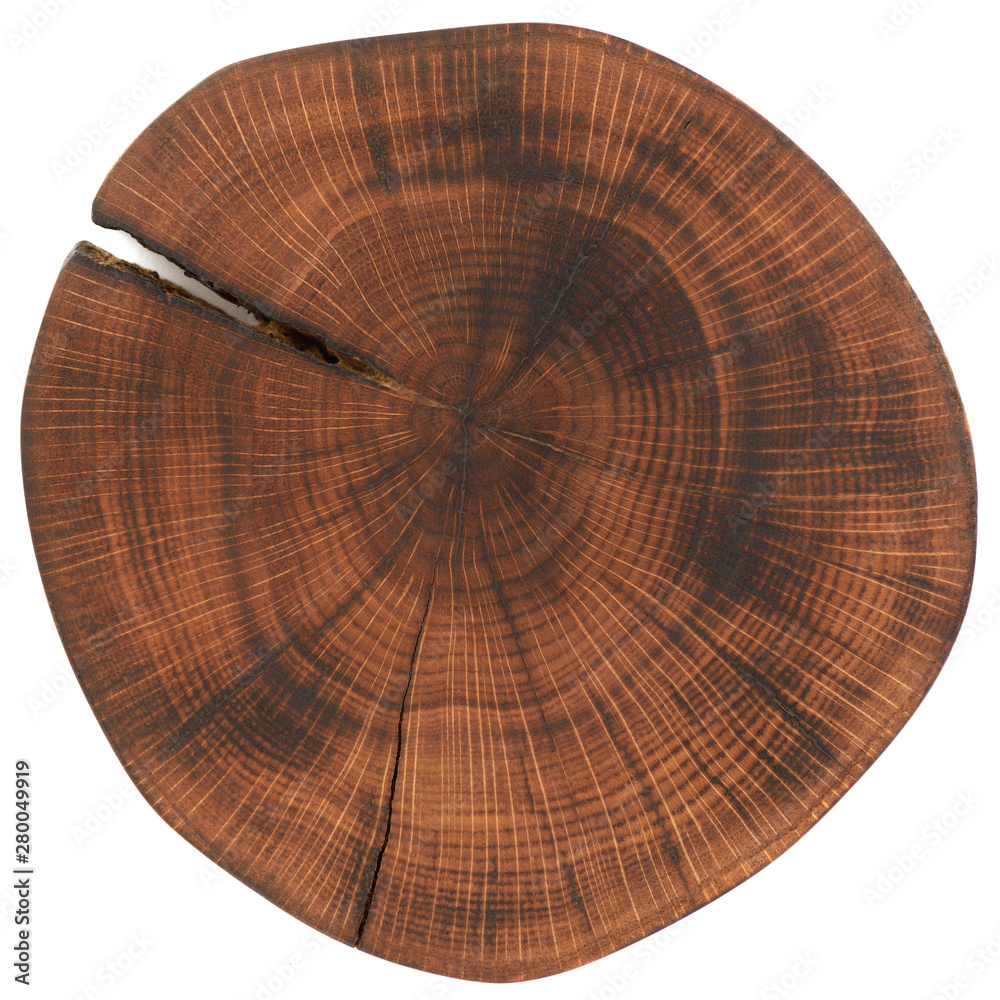 Oak wood slab. Hardwood textured surface with rings and cracks isolated ...
