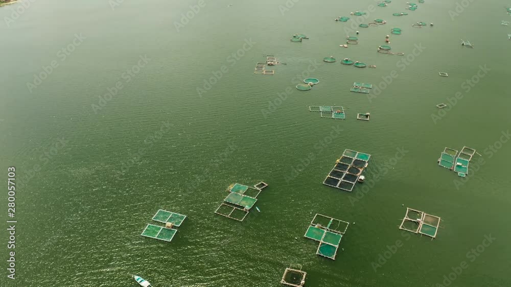 Fish farm with cages for fish and shrimp on the lake Taal, top view ...