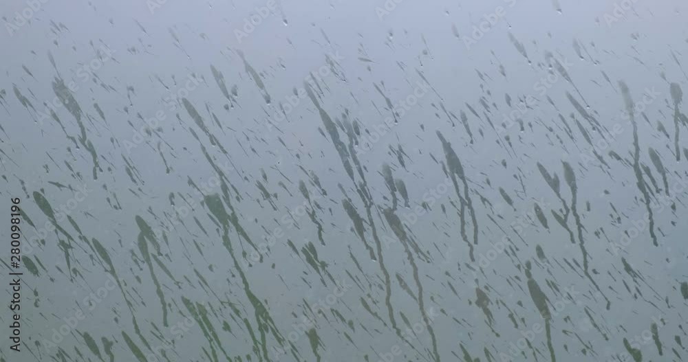 Rain dropping fast on a blue tinted matte glass window, creating a ...
