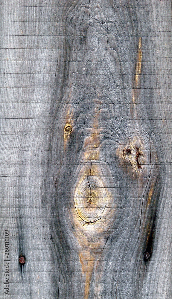 supernatural bizarre alien face of knots on textured wood plank Stock ...
