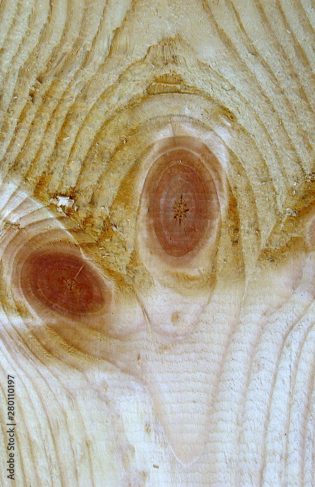 supernatural bizarre alien face of knots on textured wood plank Stock ...