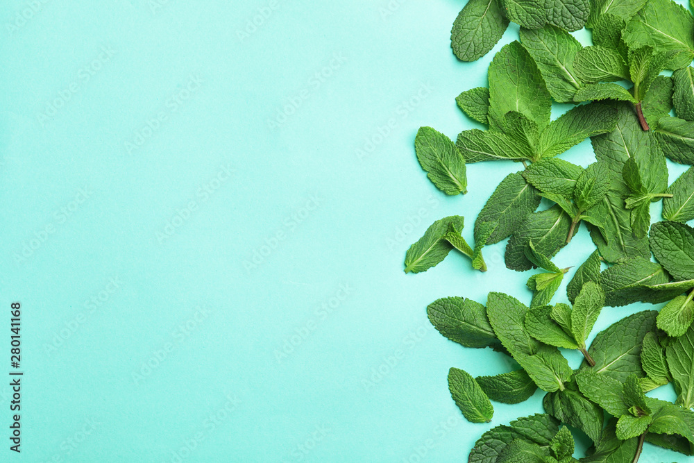 Plain Mint Blue Background