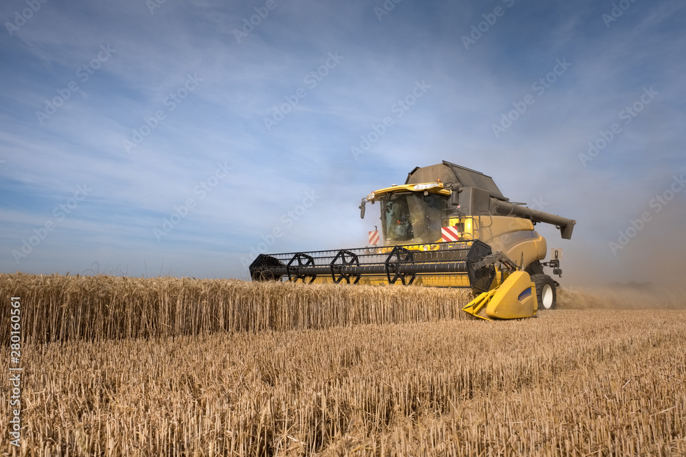 Moisson blé moissonneuse moissonneuse batteuse agriculteur agriculture céréale campagne champ ...