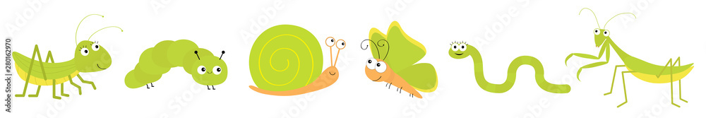 Green insect icon set line. Mantis praying, grasshopper, butterfly ...