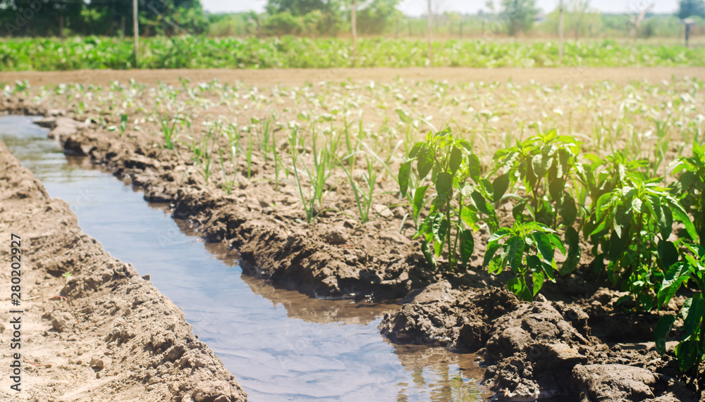 Traditional Irrigation