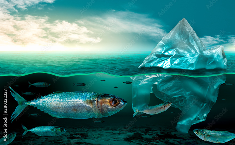 Plastic pollution in marine environmental problems Animals in the sea ...