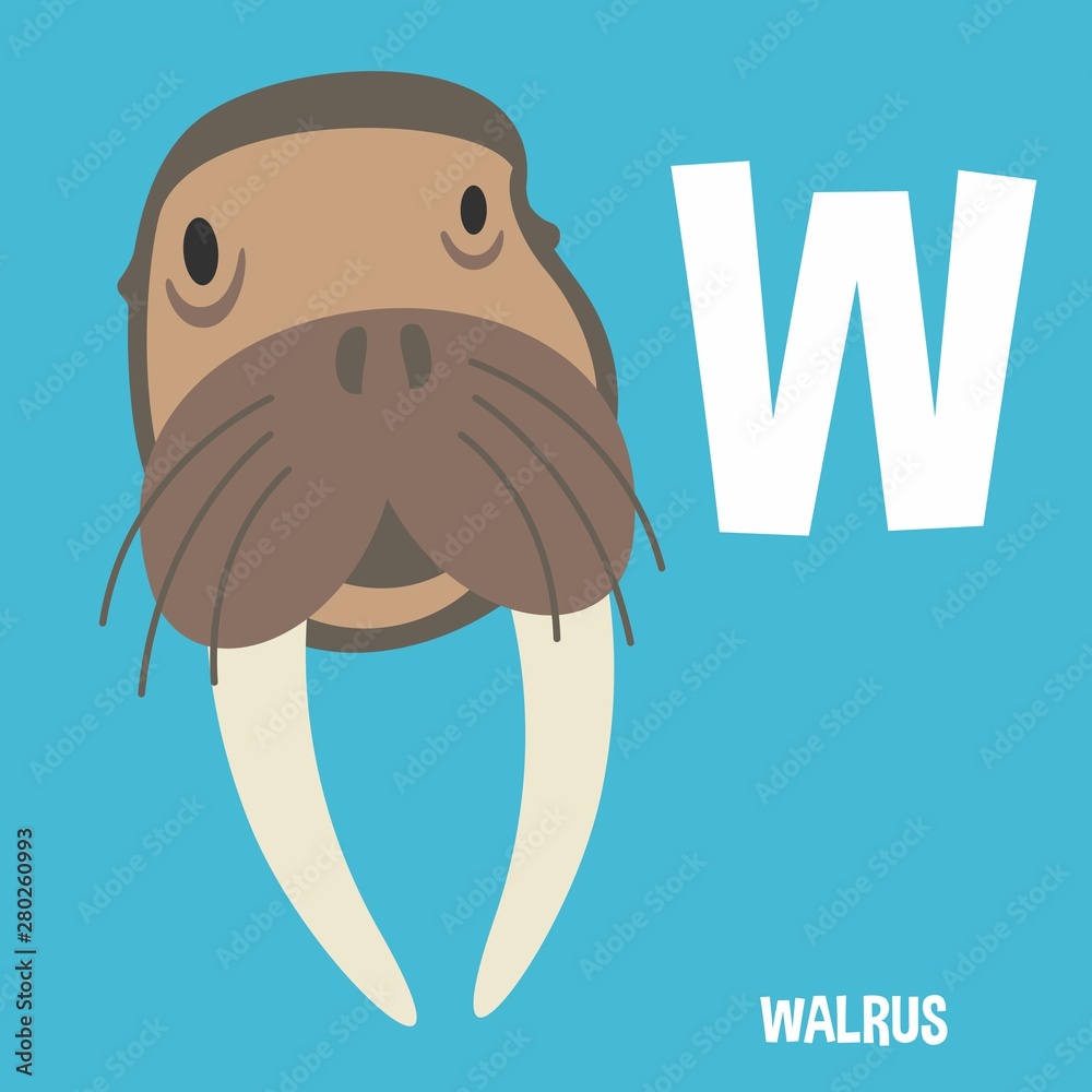 English Alphabet For Kids Letter W walrus Stock Vector | Adobe Stock