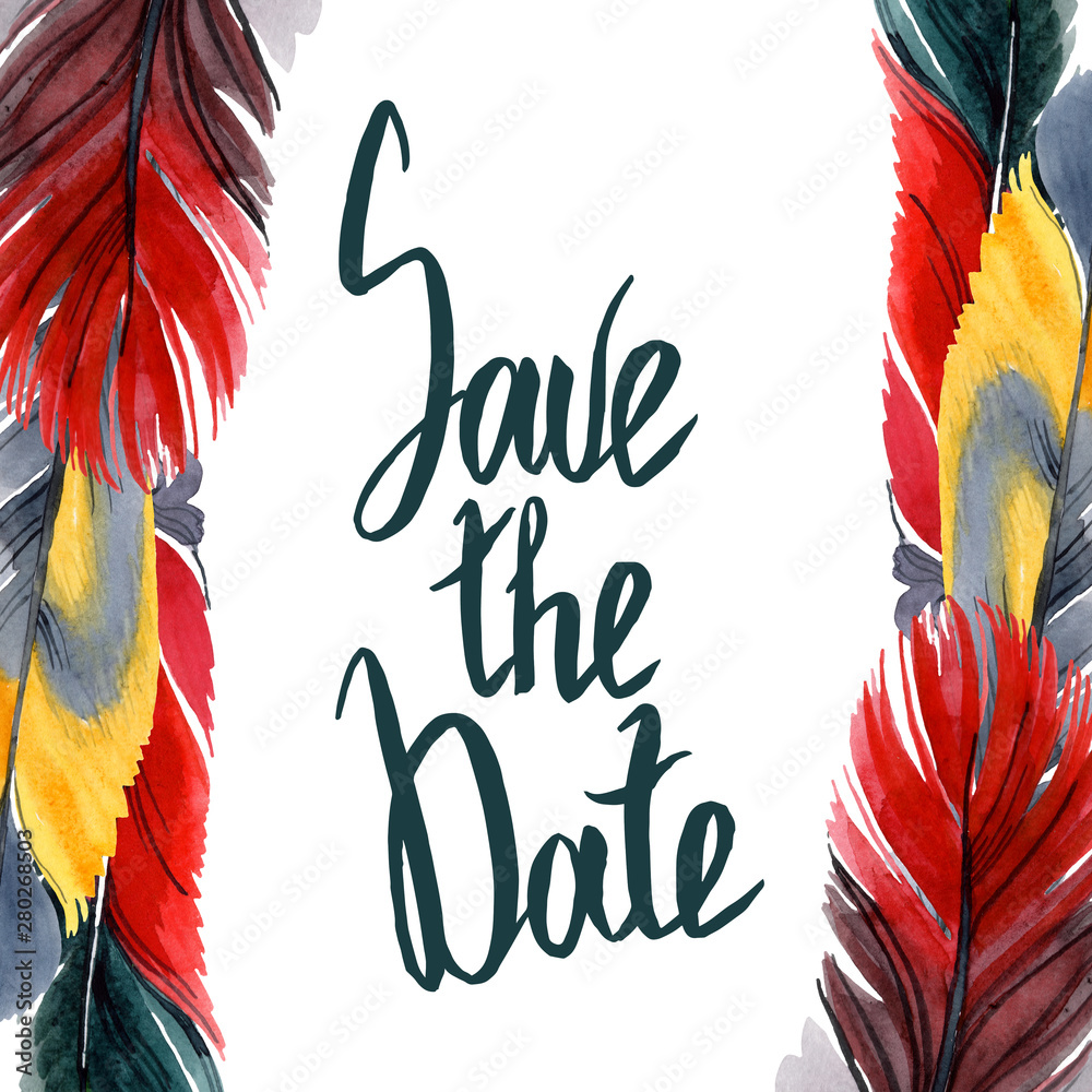 Colorful bird feather from wing isolated. Watercolor background ...