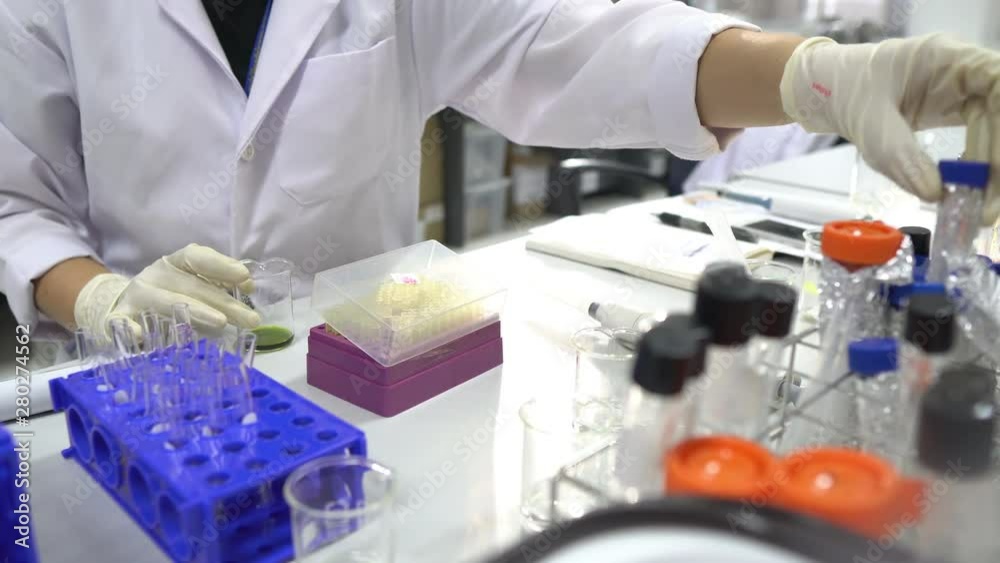 Asian Scientists holding big tube of experiment,Prepare experiment in ...