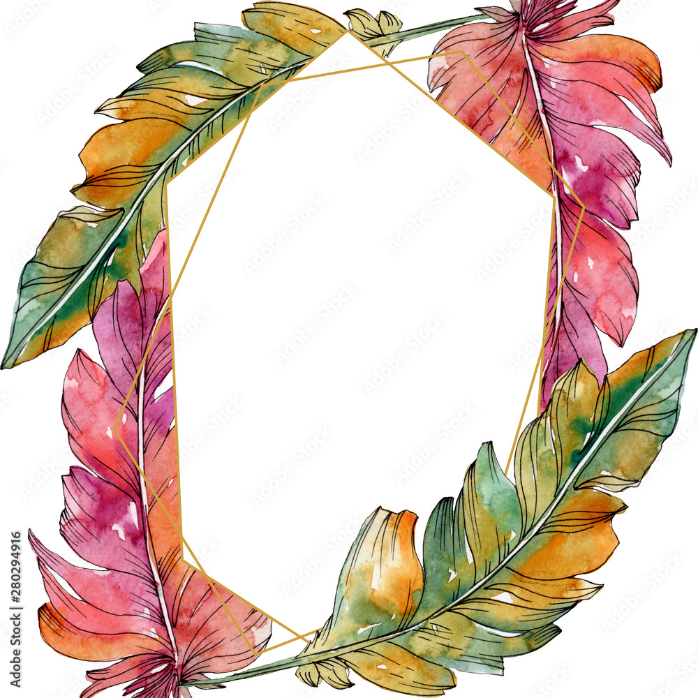 Colorful bird feather from wing isolated. Watercolor background ...