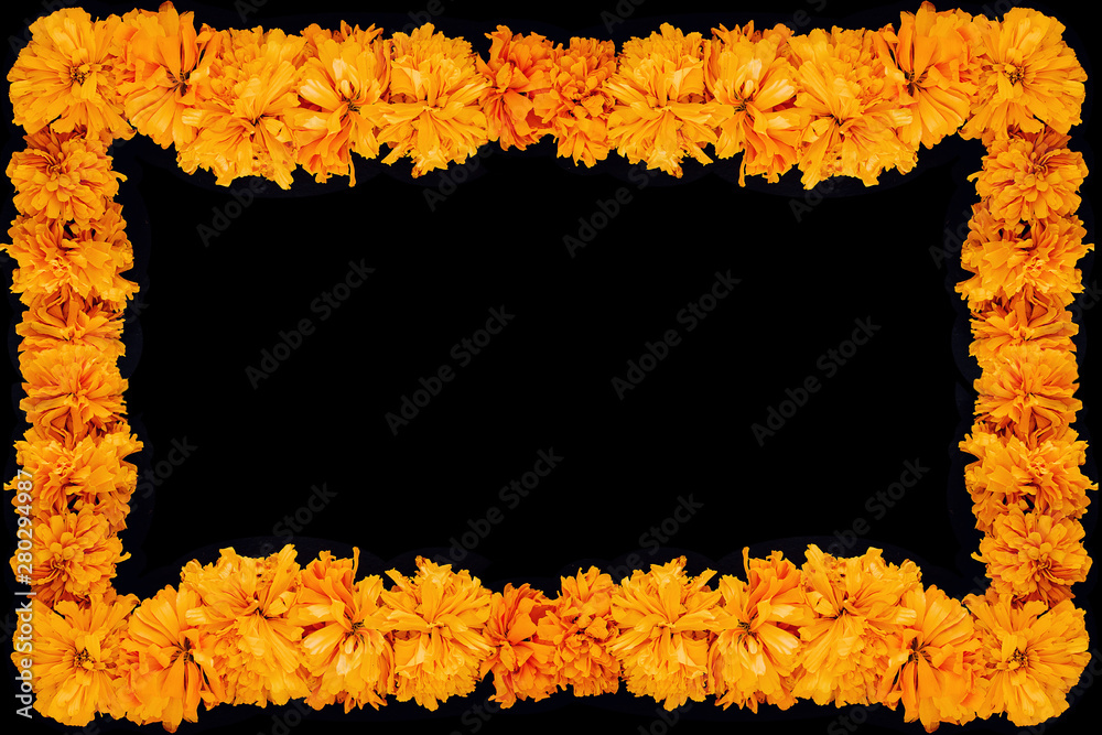 Cempasuchil flower frame, Mexican flower of the day of the dead in ...