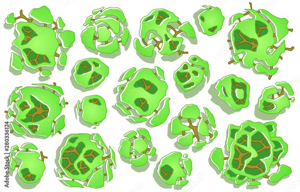 Set of trees in top view. Different icon of plants and trees for ...