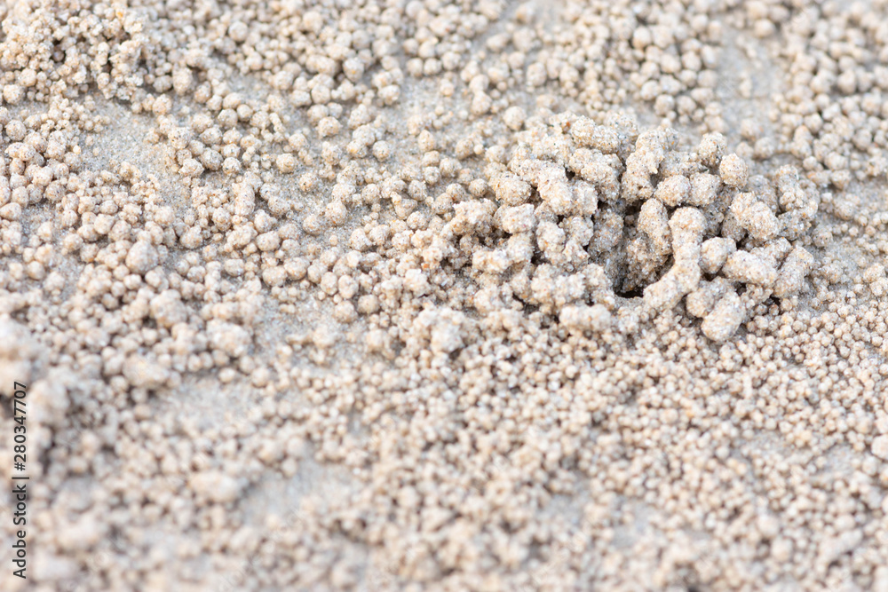 Sand-sand floor was making a round shape. This is natural, caused by ...