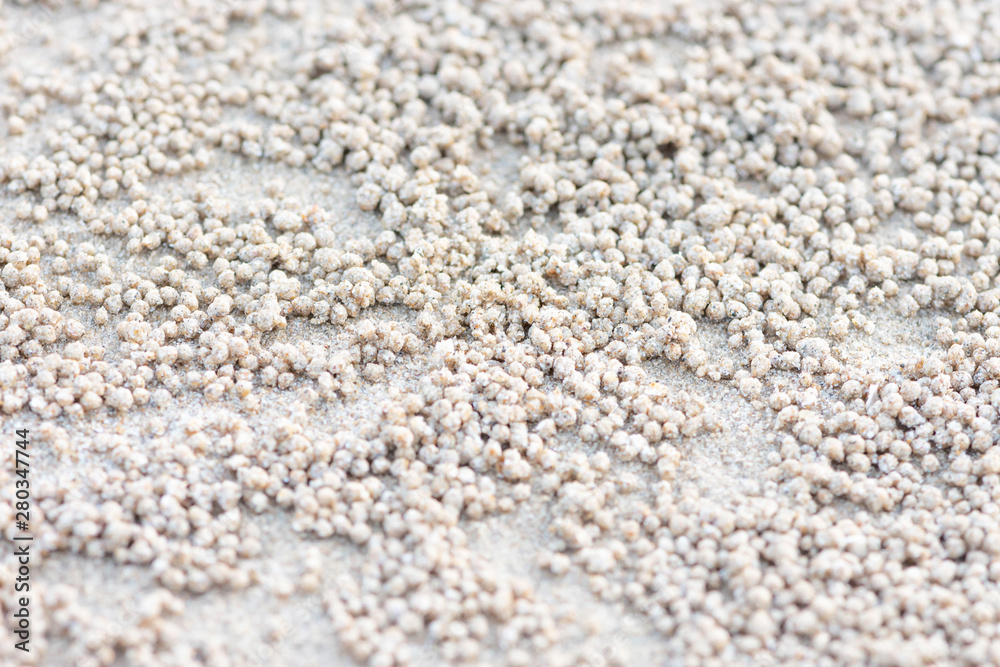 Sand-sand floor was making a round shape. This is natural, caused by ...