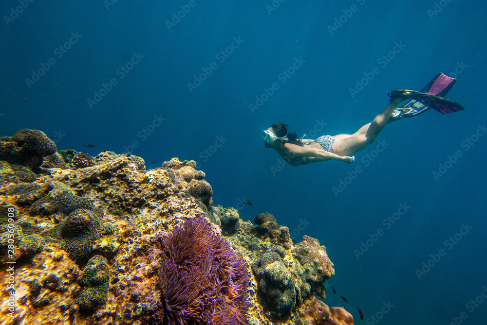 Woman freediver in coral reef and beautiful light in blue ocean during ...