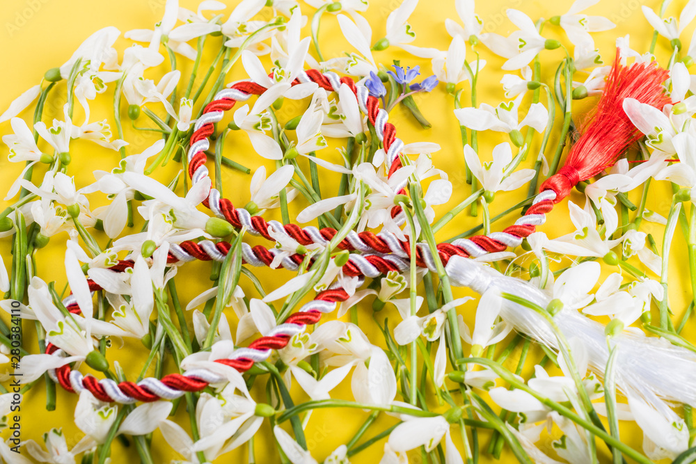 Spring time flowers like snowdrops, hyacinth and roses, isolated on ...