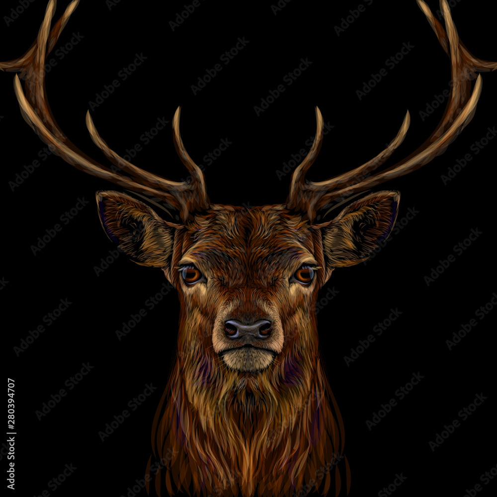 Deer. Realistic, colorful, hand-drawn portrait of a deer's head on a ...