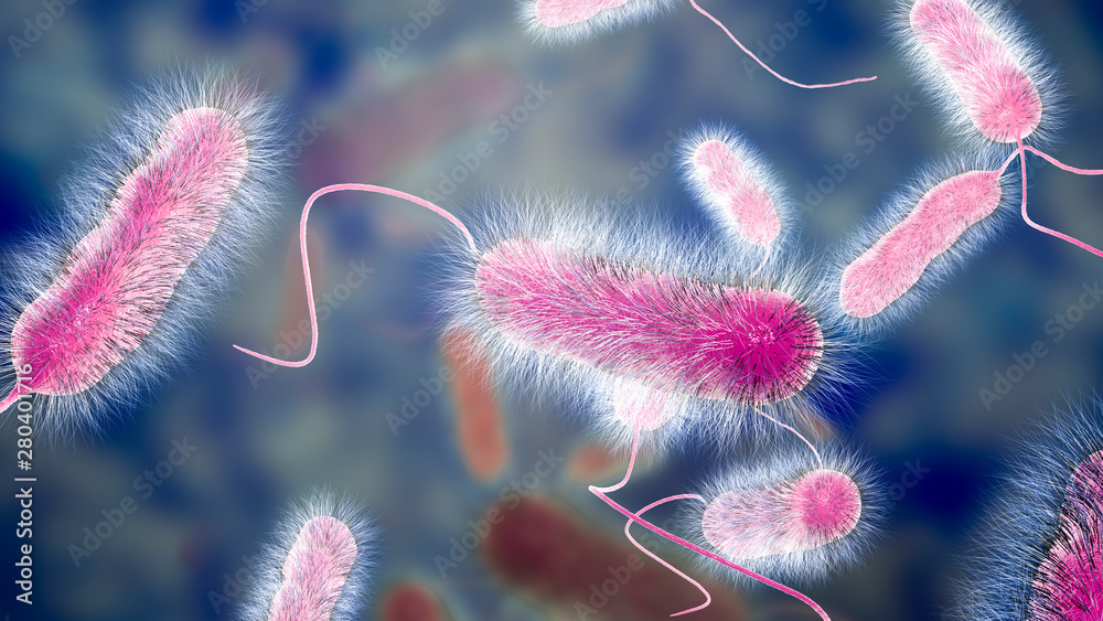 Poster Legionella pneumophila bacterium, the causative agent of ...