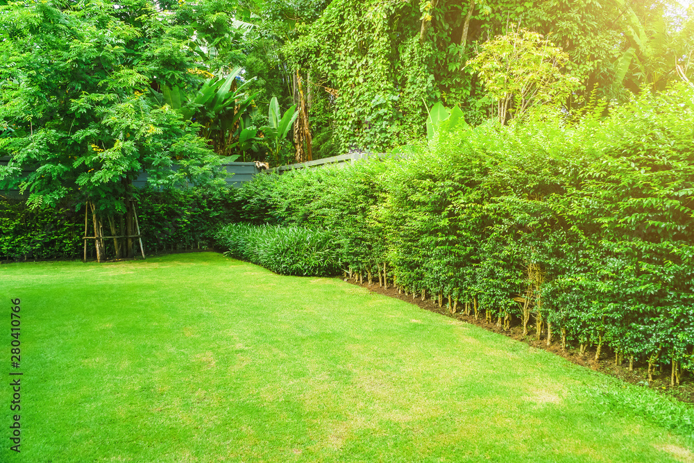 The front lawn for background, Green lawn with a shade of trees on the ...