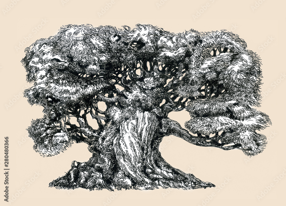 Bonsai, a symbol of wisdom. Tree of life. Stock Illustration | Adobe Stock