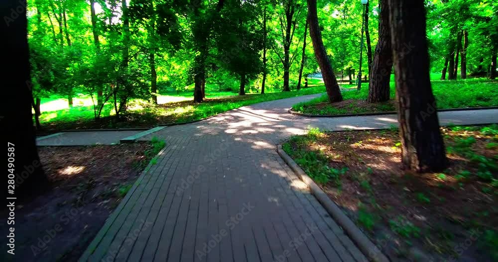 A calm, peaceful and relaxing walk in a green and lush public park ...