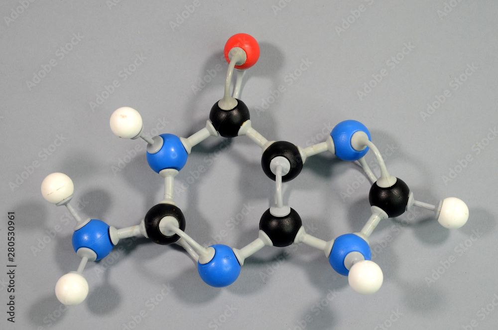 Carbon Element Model