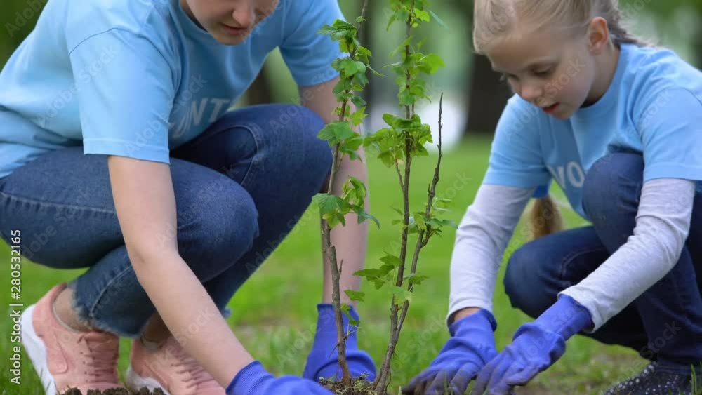 Happy female volunteer smiling to daughter planting tree in forest ...
