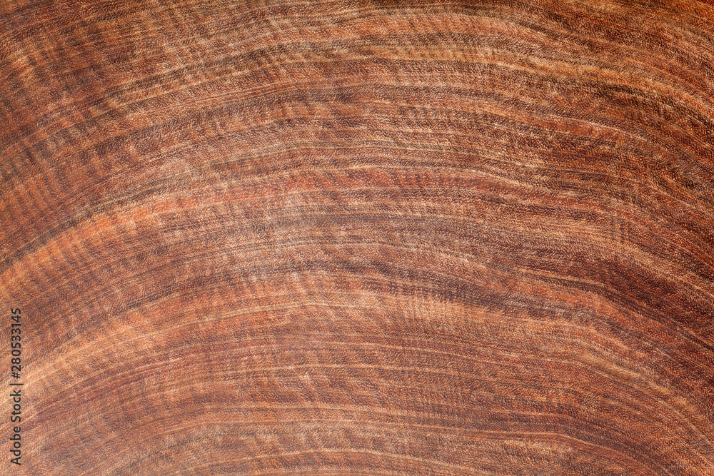 Brown ironwood texture background. Cross section. Stock Photo | Adobe Stock